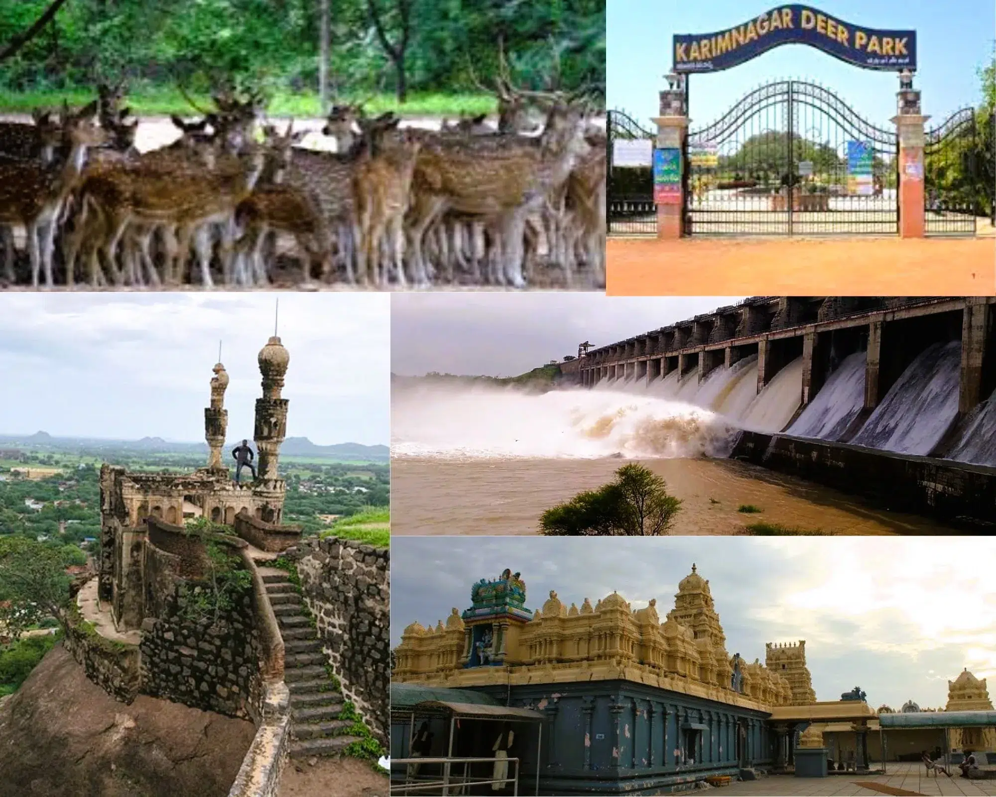 Top 10 Must Visit Attractions in Karimnagar